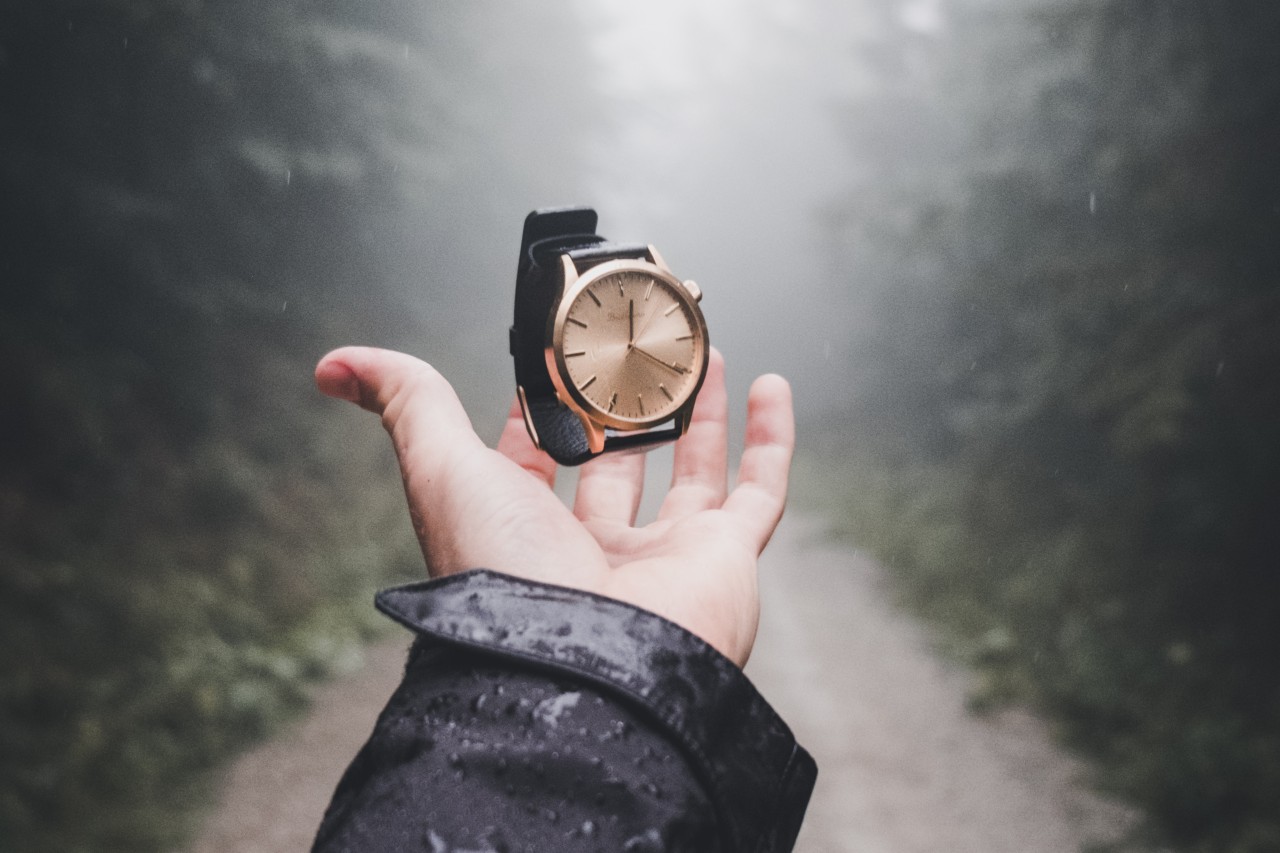 History Horology The Modern Watch Collector Feldmar